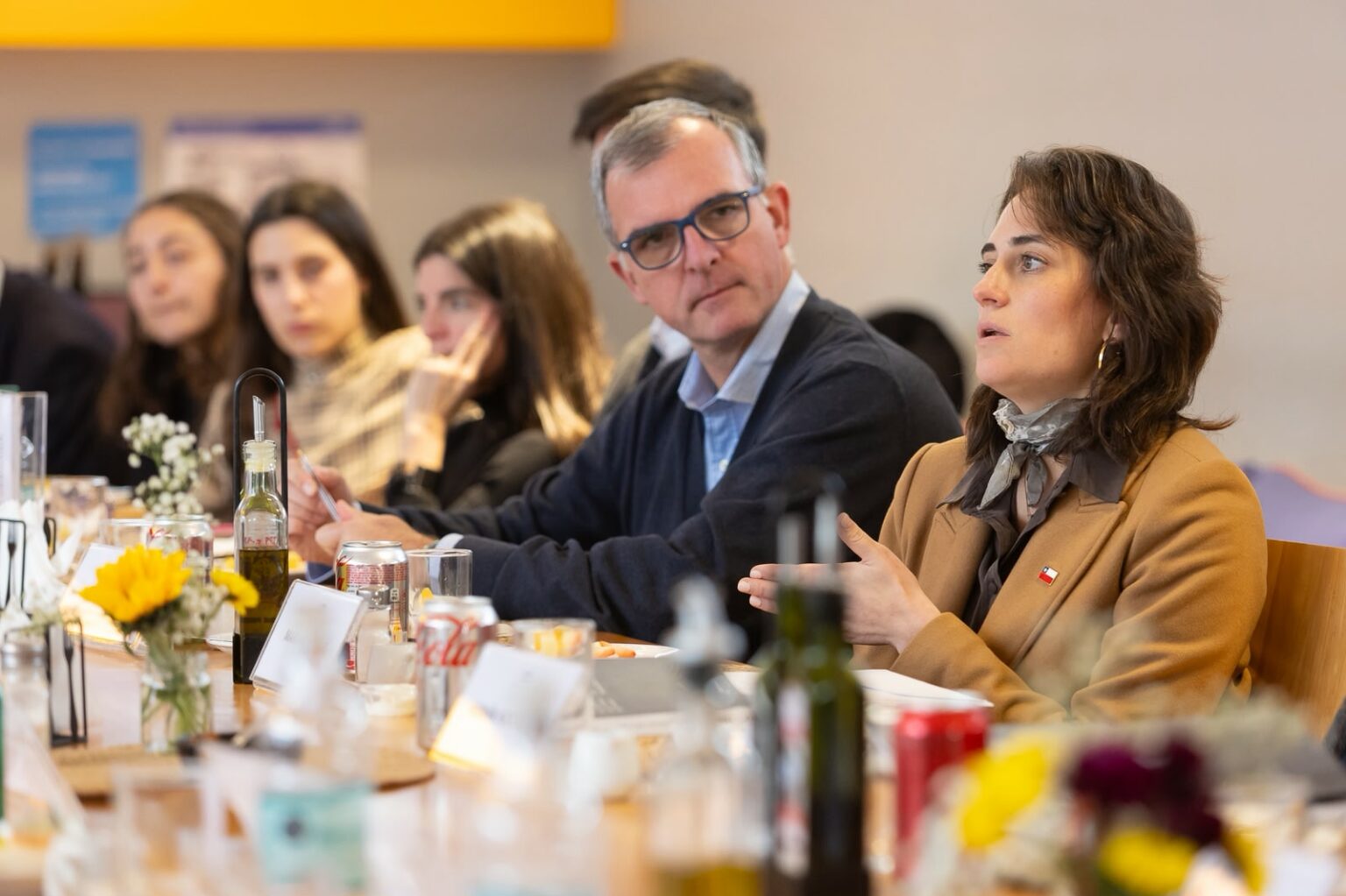 FARO UDD Ediciones presenta: «Chile hacia el futuro. Diez miradas sobre ...